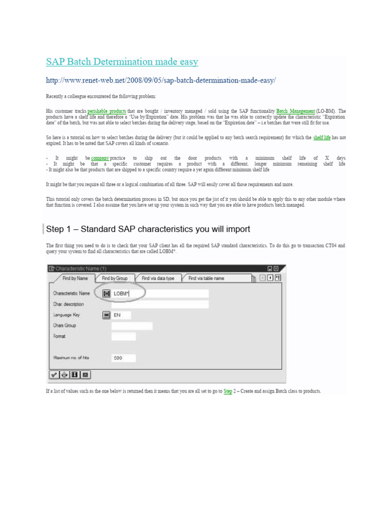 SAP Batch Determination Made Easy | PDF | Computing | Computer Science