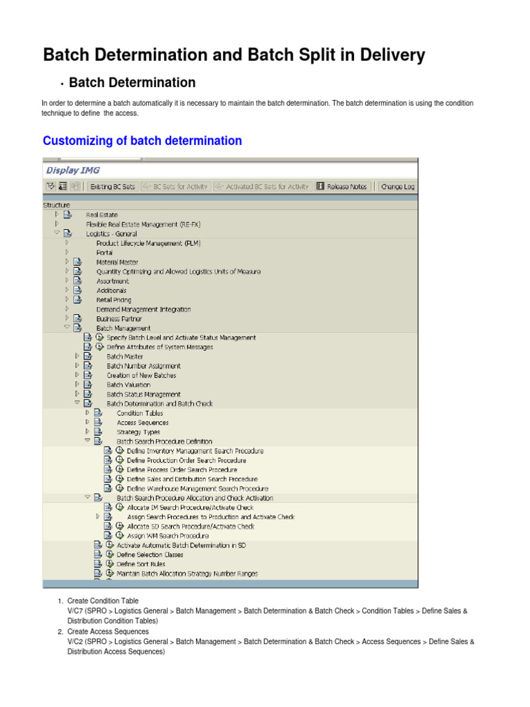 Batch Determination & Split in SAP SD | PDF | Logistics | Software ...