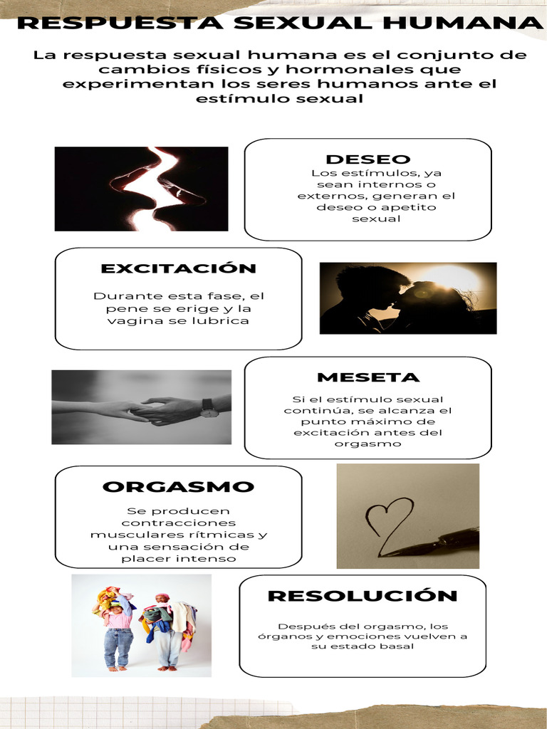 Respuesta sexual humana | PDF