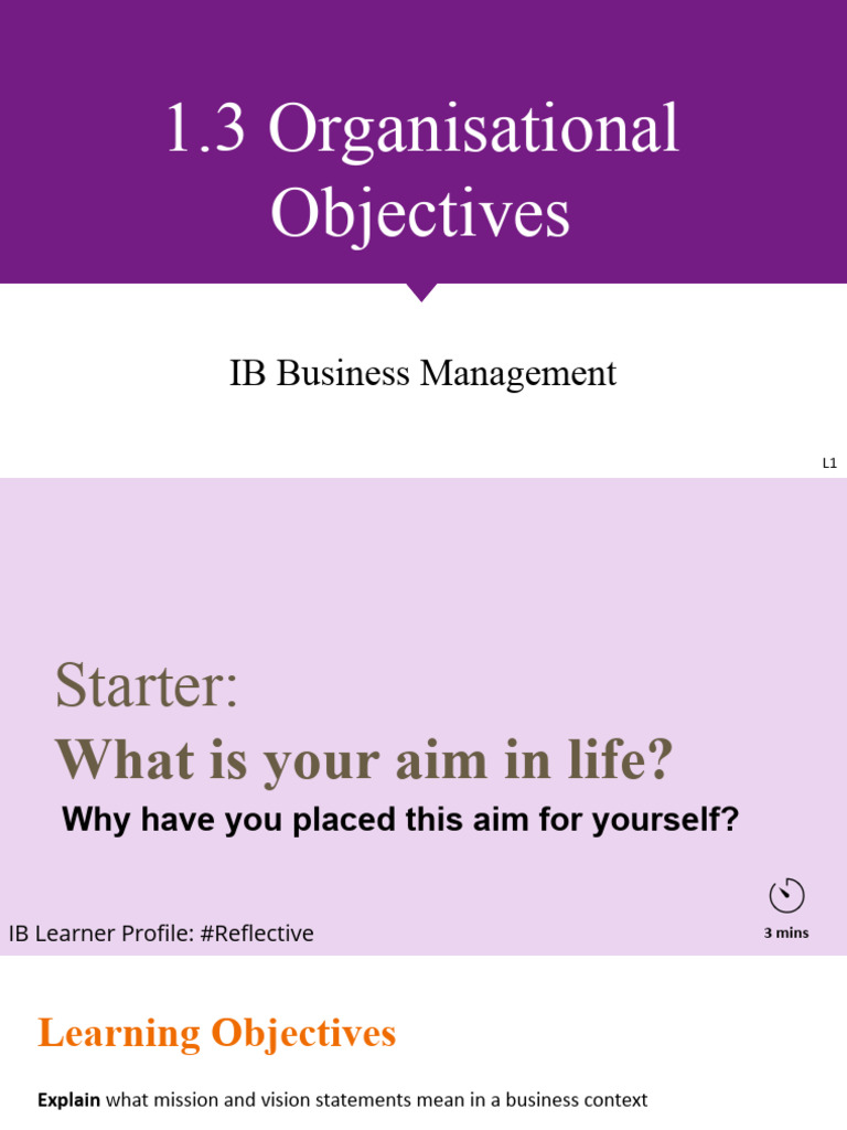 1.3 Business Objectives (IB BM) | PDF | Swot Analysis | Corporate Social Responsibility