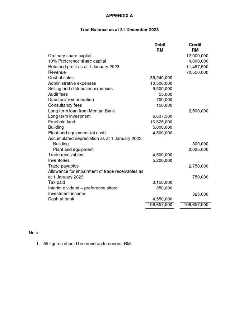 Appendix A - Trial Balance Group Project March-Aug 2024 | PDF