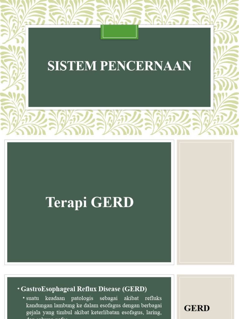 Obat dan Terapi untuk GERD | PDF