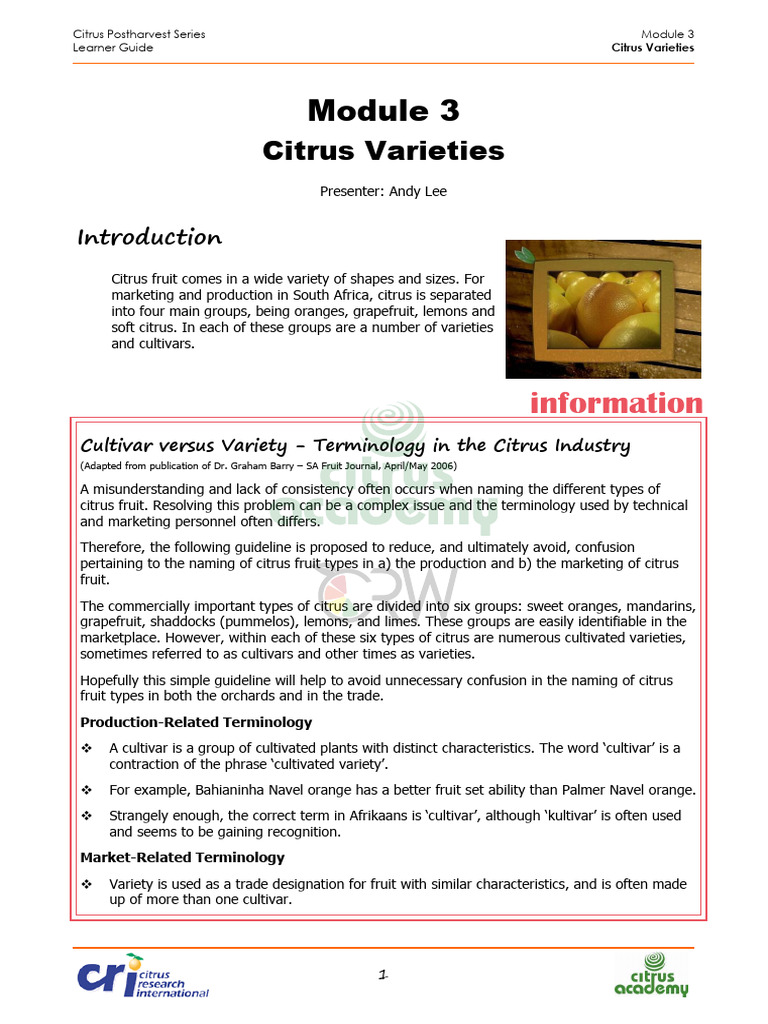 Citrus Varieties Guide for Producers | PDF | Orange (Fruit) | Citrus