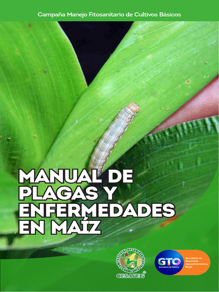 Manual Maiz 2 Laboratorio | PDF