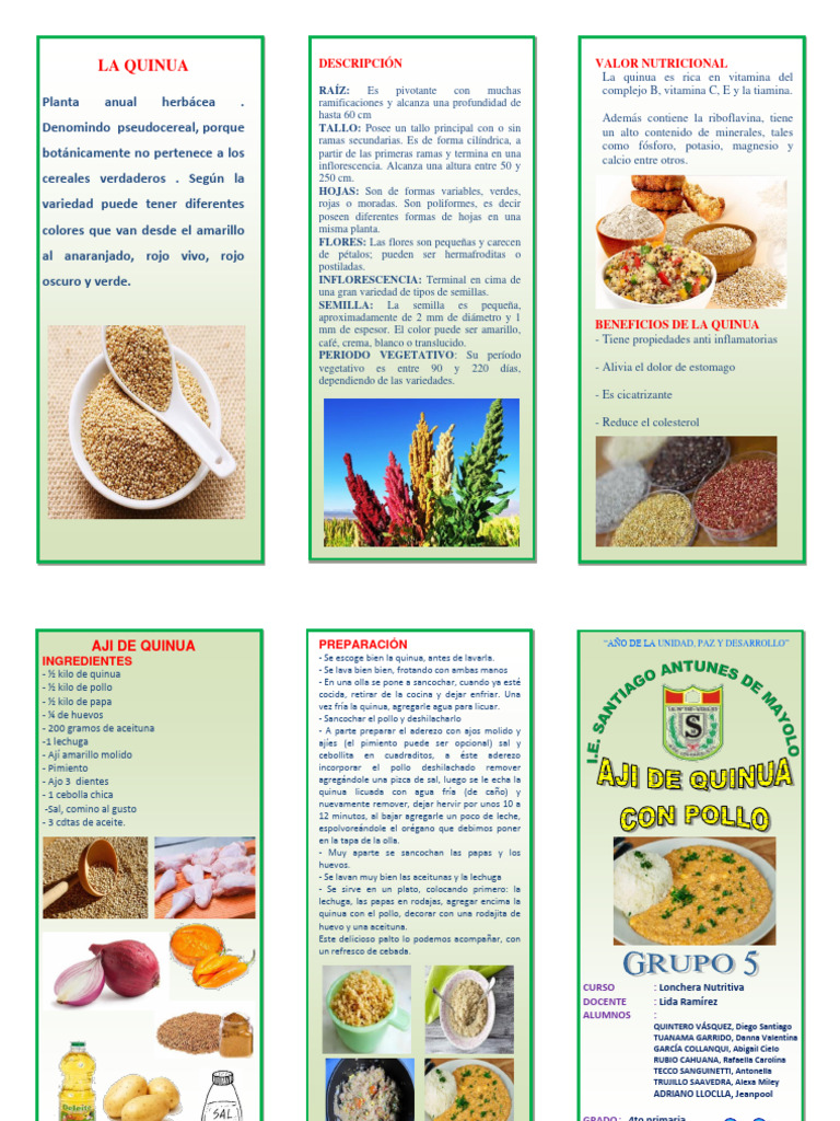 Triptico Aji de Quinua Con Pollo | Descargar gratis PDF | Quinua | Tallo de la planta