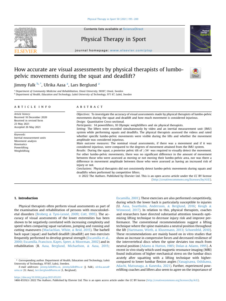 Visual Assessment Accuracy in Lifting Techniques | PDF | Pelvis ...