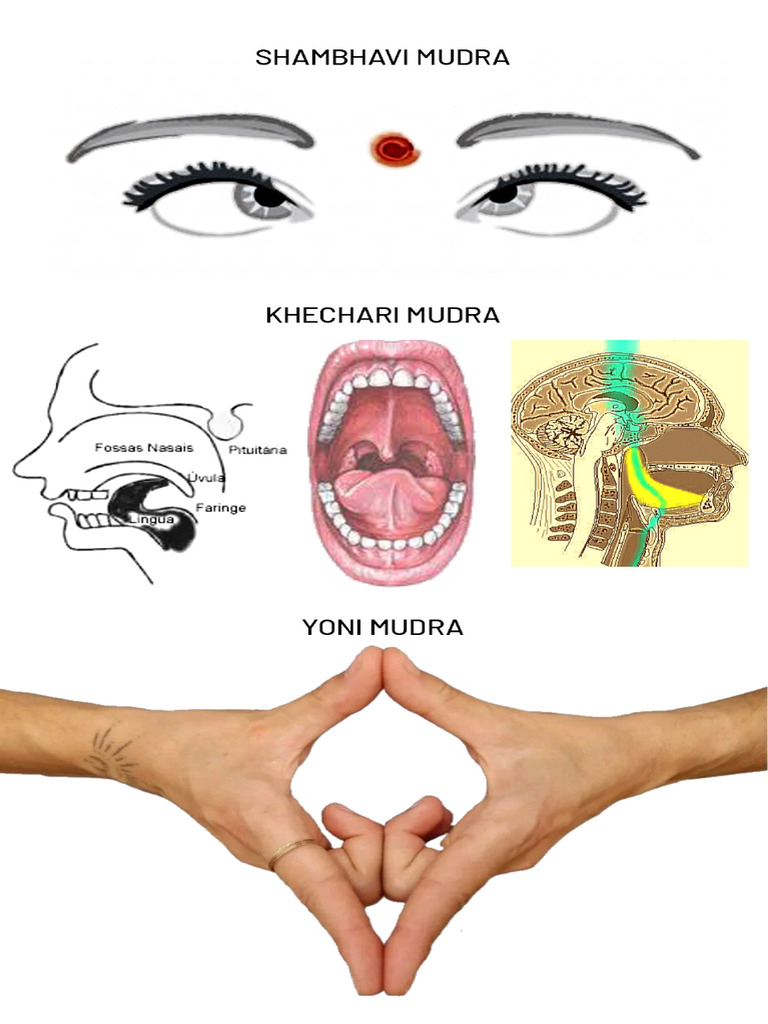 Mudra Meditation | PDF