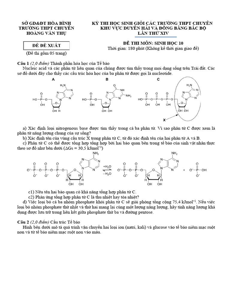 de Xuat SINH 10 Duyen Hai | PDF