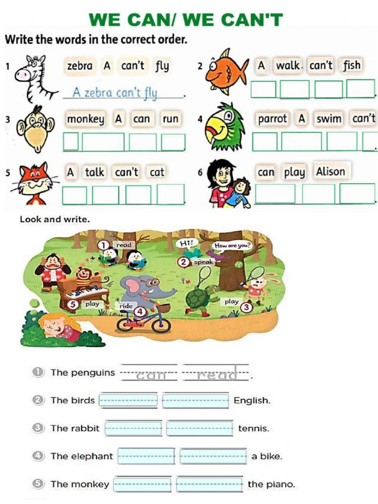 CAN CANT ANIMALS | PDF