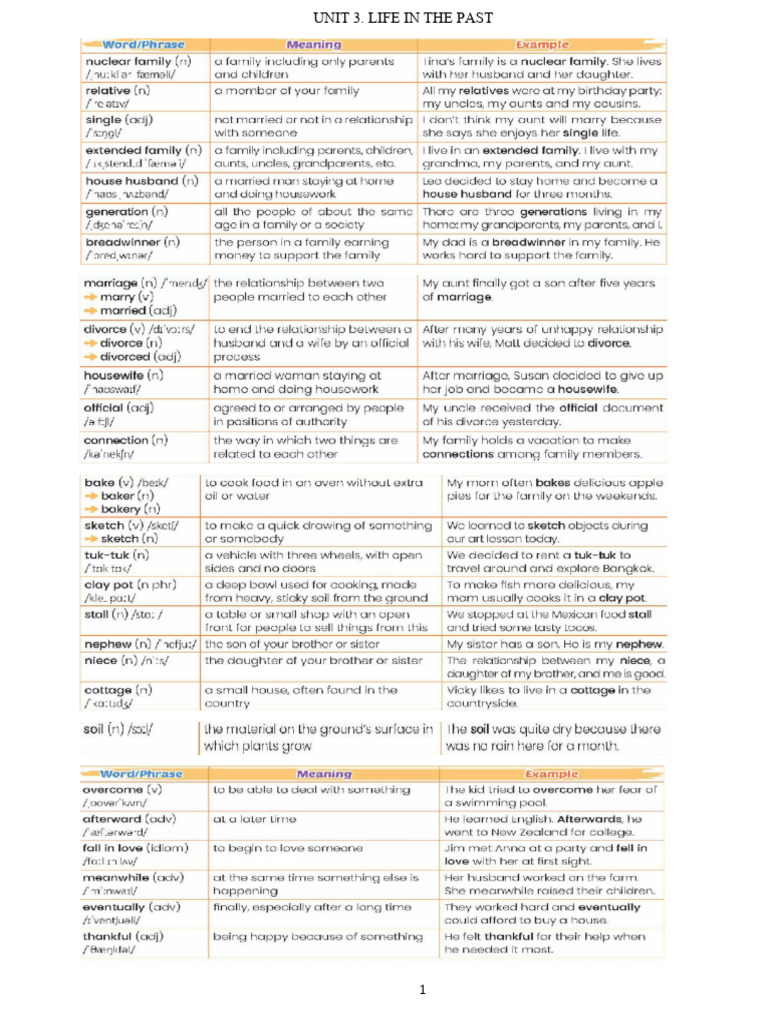 Unit 3. Life in The Past | PDF | Languages | Foreign Language Studies