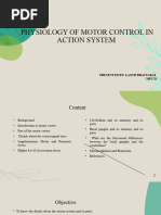 Frontal Lobe | PDF | Motor Neuron | Cerebral Cortex