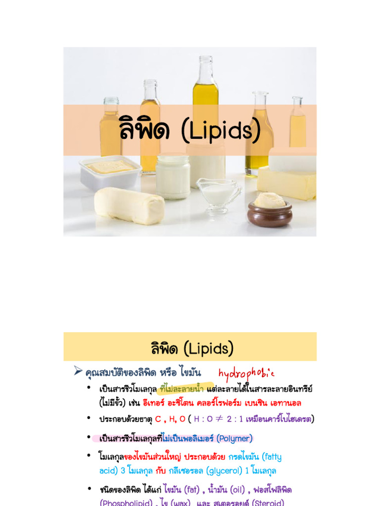 Lipid | PDF