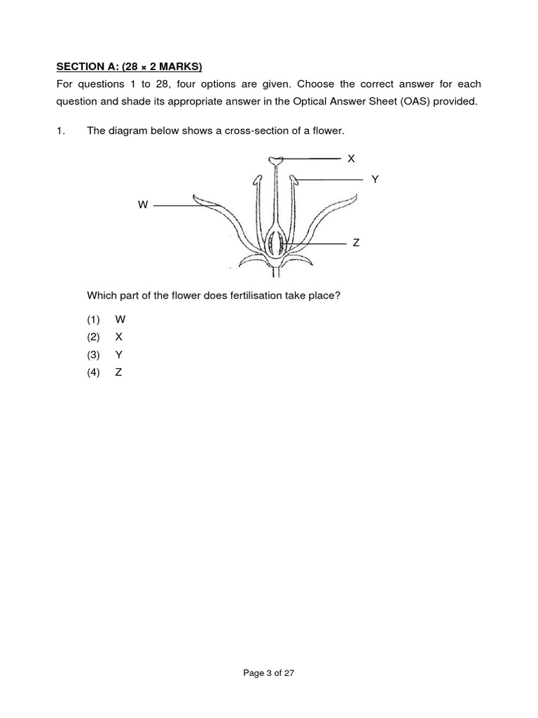 PSLE Standard Science 2022 Booklet A | PDF | Blood | Force
