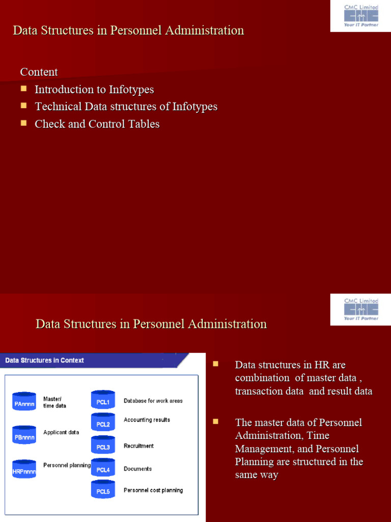 HR Data Structures and Infotypes Guide | PDF | Human Resource ...