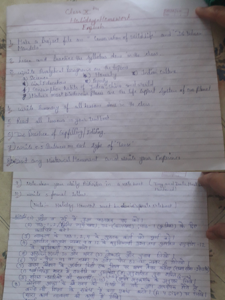 Holiday Homework Class 10th | PDF