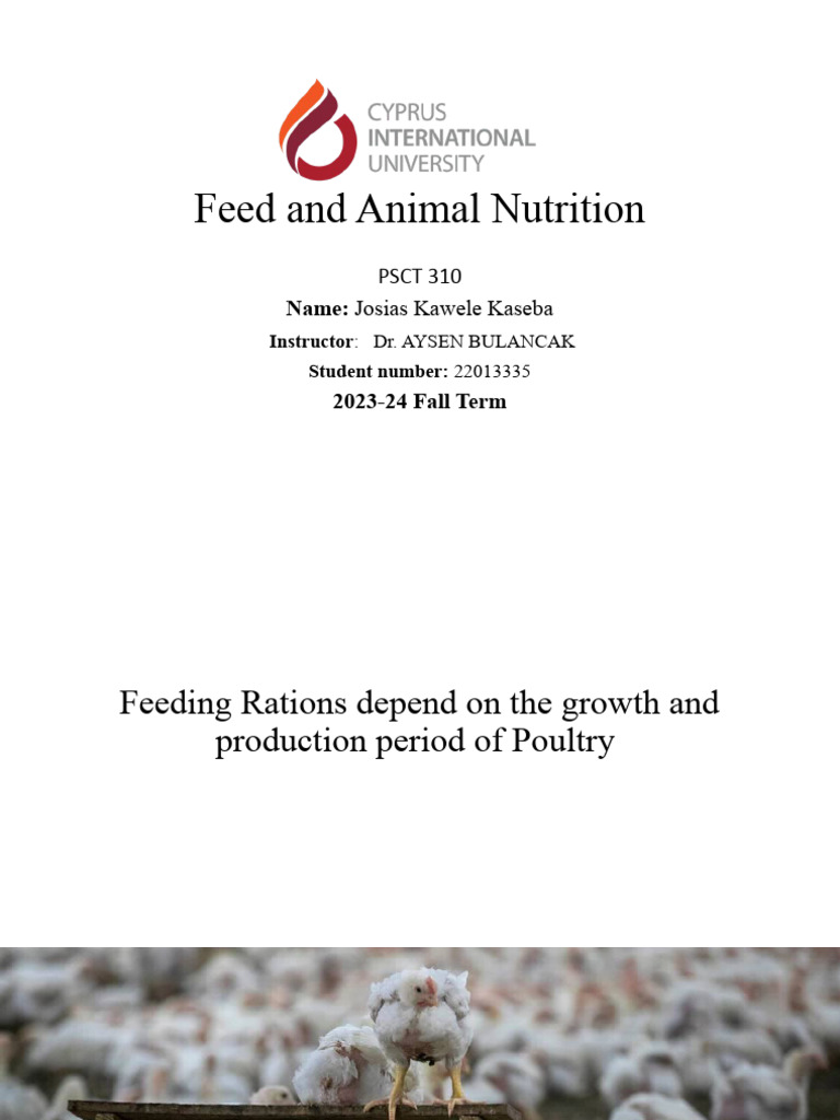 Presentation Animal Feed | PDF | Vegetable Oil | Cereals