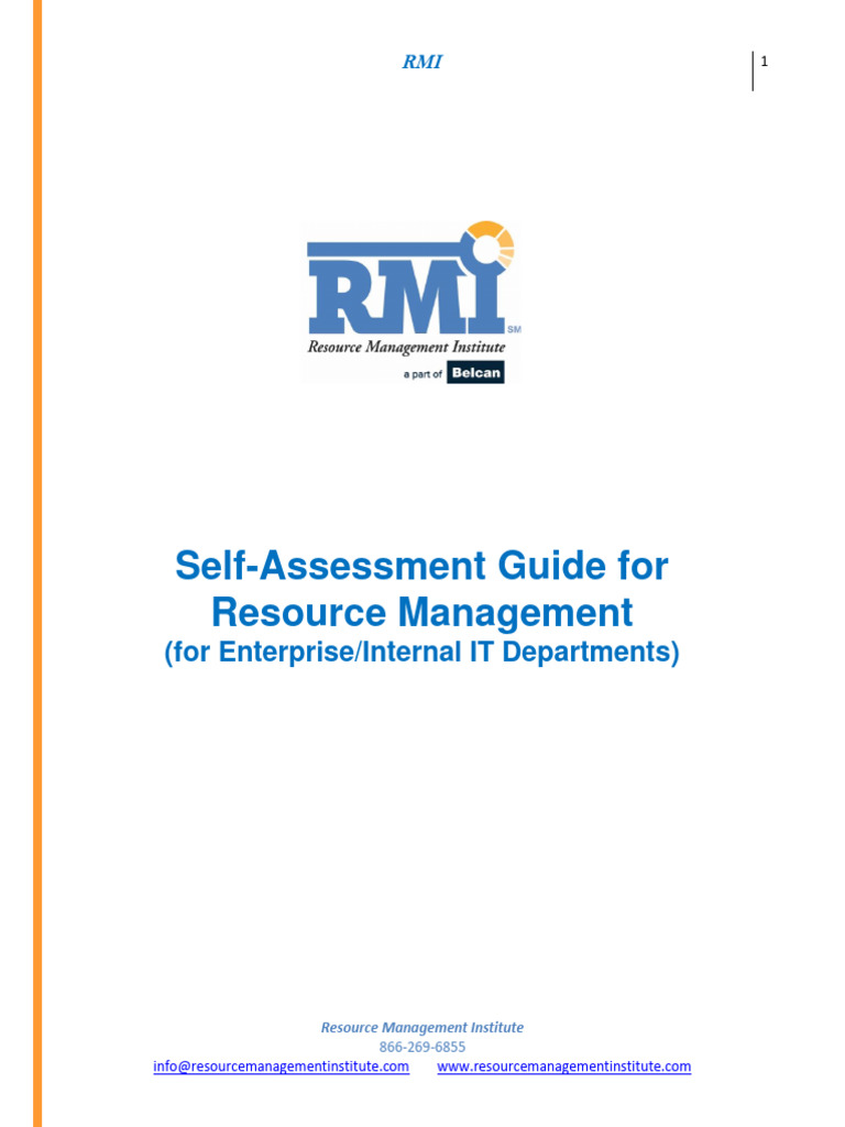 RMI Whitepaper Self Assessment Guide For RM IT | PDF | Project ...