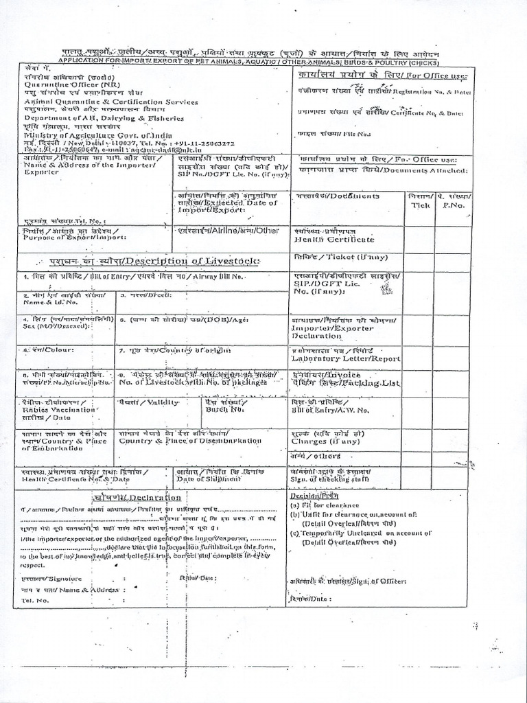 Application for Export With Documents List | PDF