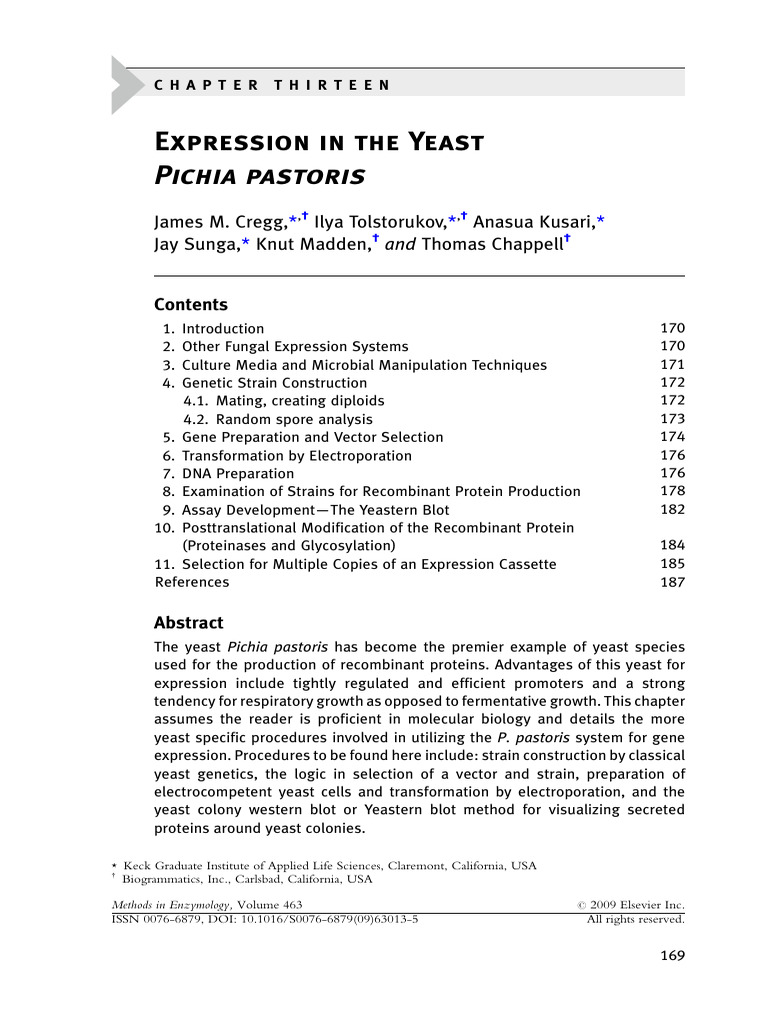 Expression in The Yeast Pichia Pastoris | PDF | Western Blot | Vector ...