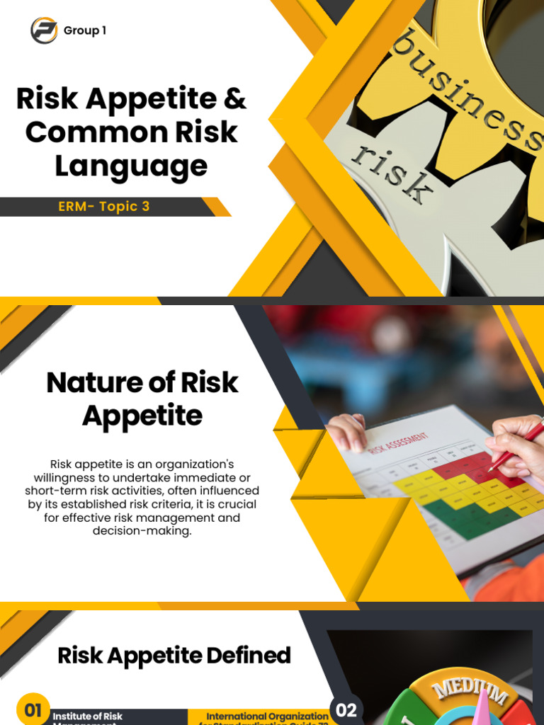 Risk Appetite and Common Risk Language | PDF | Risk | Risk Management