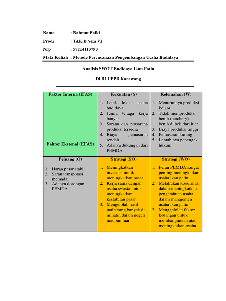 Ann SWOT | PDF | Karier & Perkembangan