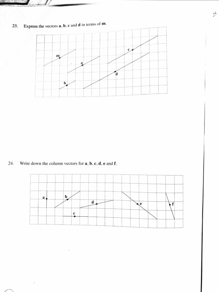 4A Vector 07-Jan-2024 12-20-44 | PDF