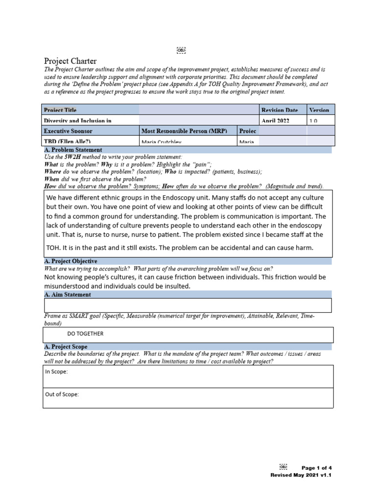 Project Charter Endo D&I QI 2 | PDF | Project Management | Business