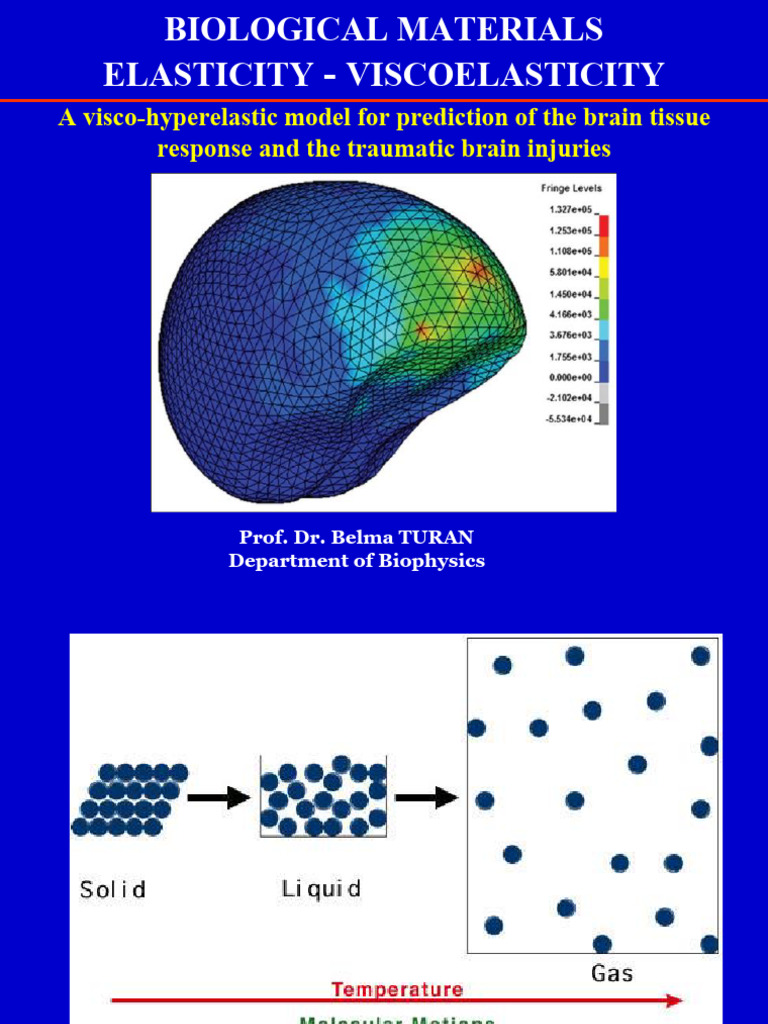 Viscosity 240415 151630 | PDF | Viscoelasticity | Elasticity (Physics)