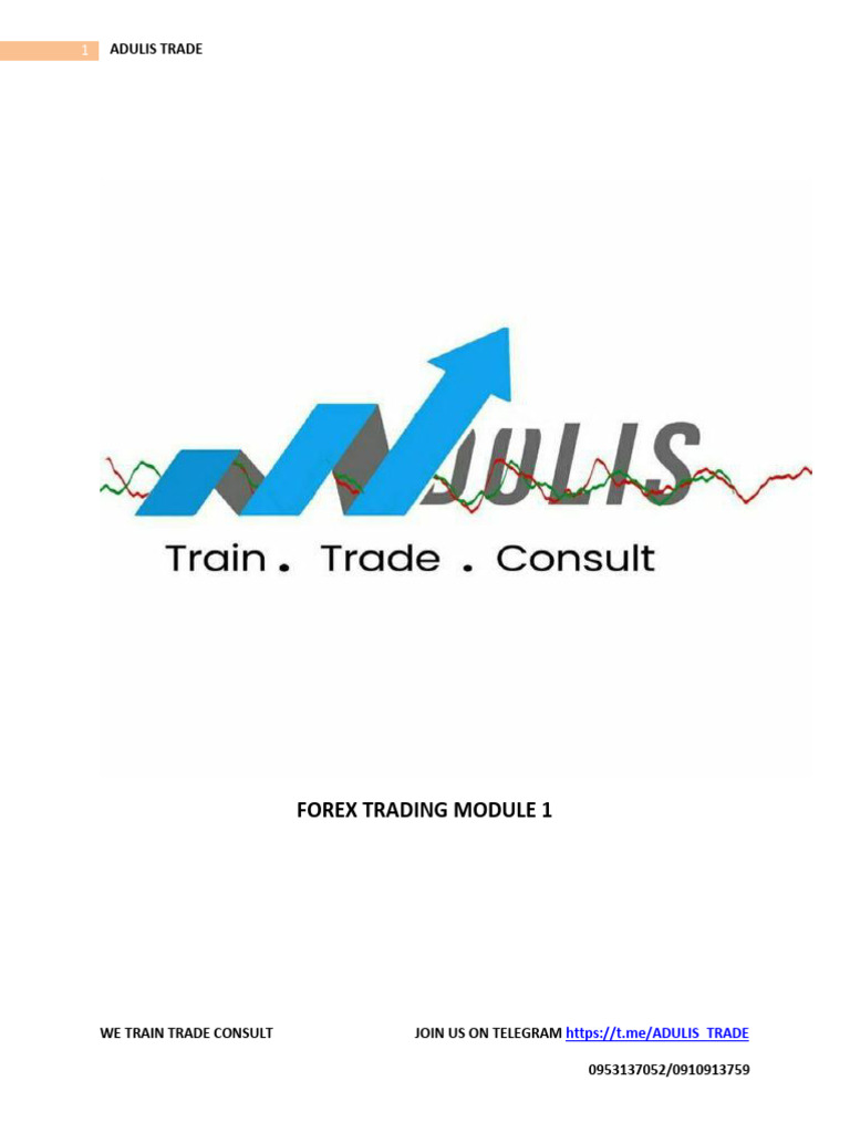 Module | PDF | Foreign Exchange Market | International Finance