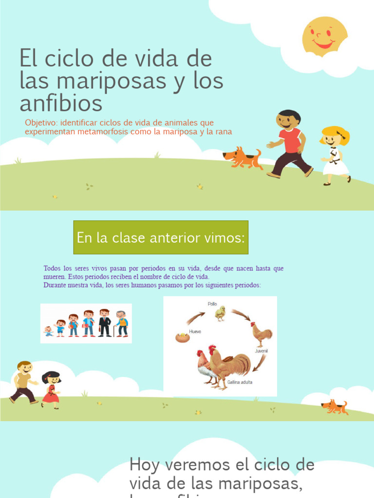 Ciclo de Vida de Los Animales | PDF | Crisálida | Lepidópteros