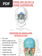 Anatomie des Os du Visage Humain | PDF | Anatomie humaine | Appareil ...