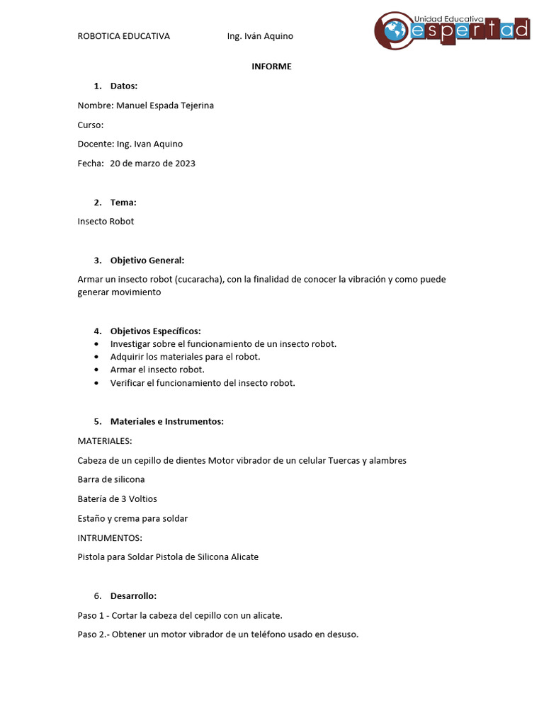 Ejemplo de Informe | PDF