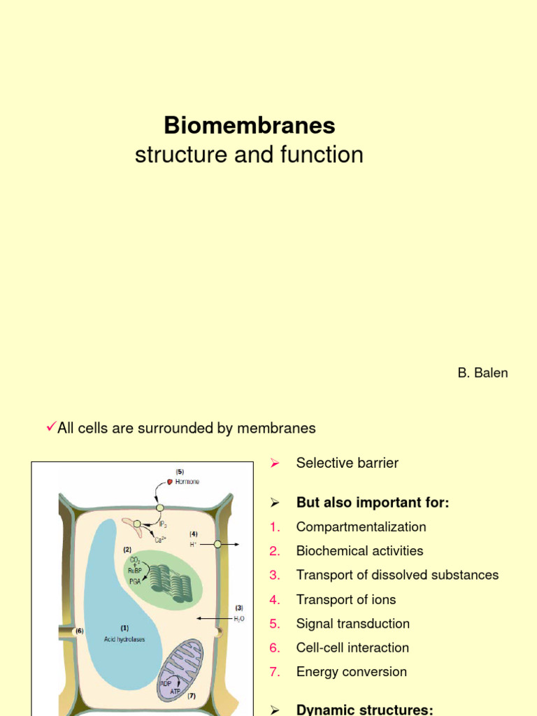 5_Biomembranes | Download Free PDF | Cell Membrane | Biological Membrane
