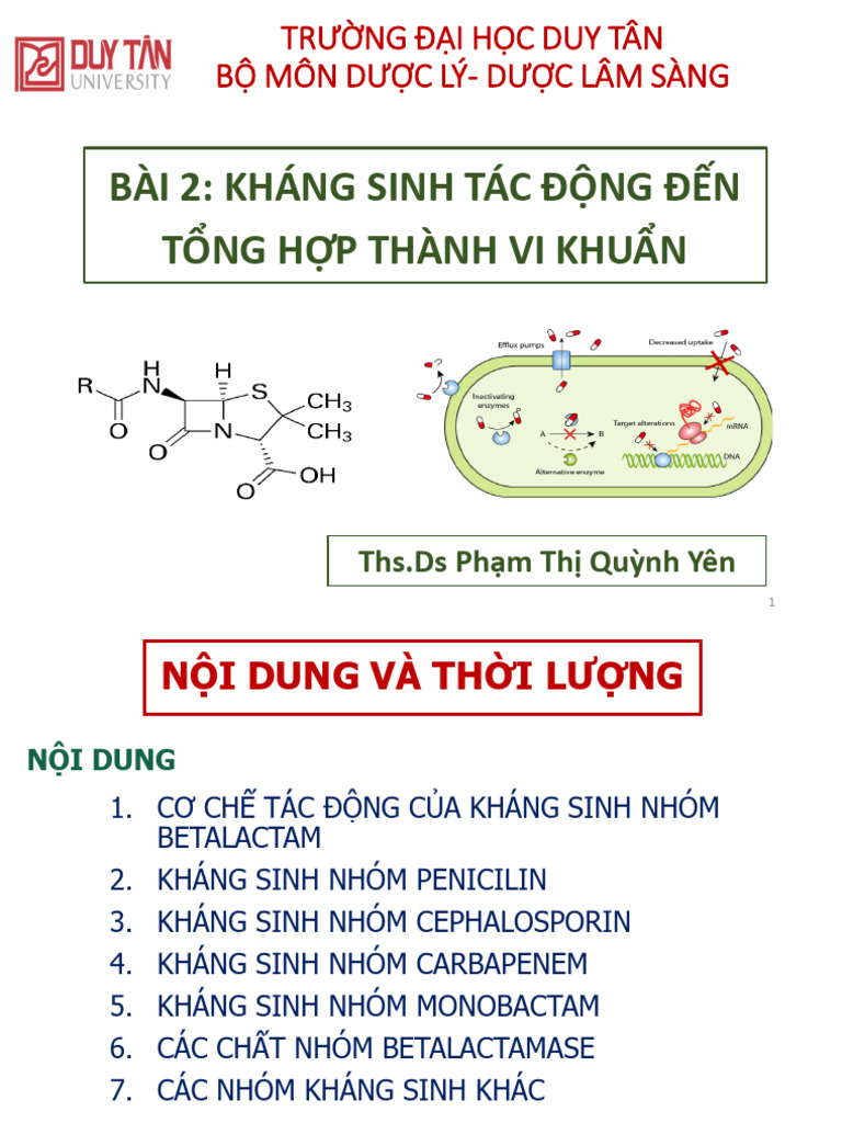 Duoc Ly Can Ban 2 | PDF