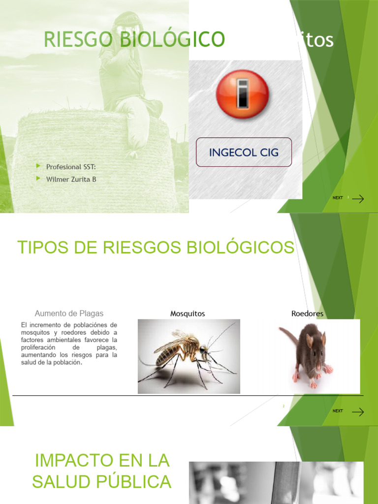 Riesgo Biologico | PDF | Pesticida | Malaria