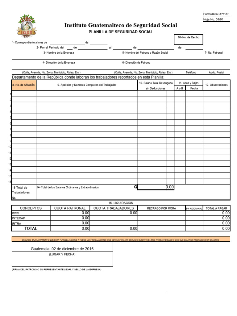 Planilla Modelo para Llenar | PDF