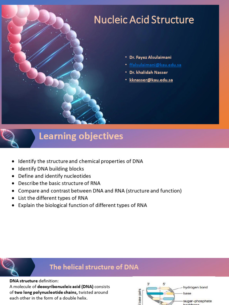 Nucleic Acid Structure | PDF | Rna | Messenger Rna