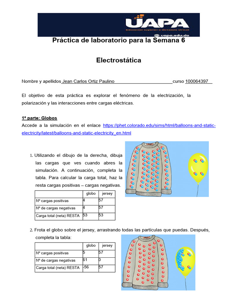 Práctica de Electrostática: Cargas y Polarización | PDF | Ciencias fisicas | Física