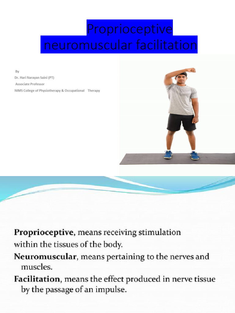 PNF Techniques for Shoulder Stability | PDF | Muscle Contraction ...