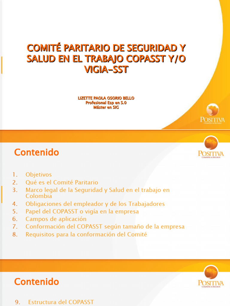 Guía del COPASST en Colombia | PDF | Seguridad y salud ocupacional