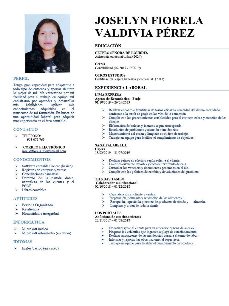Curriculum Vitae 2024 | Descargar gratis PDF | Contabilidad | Informática