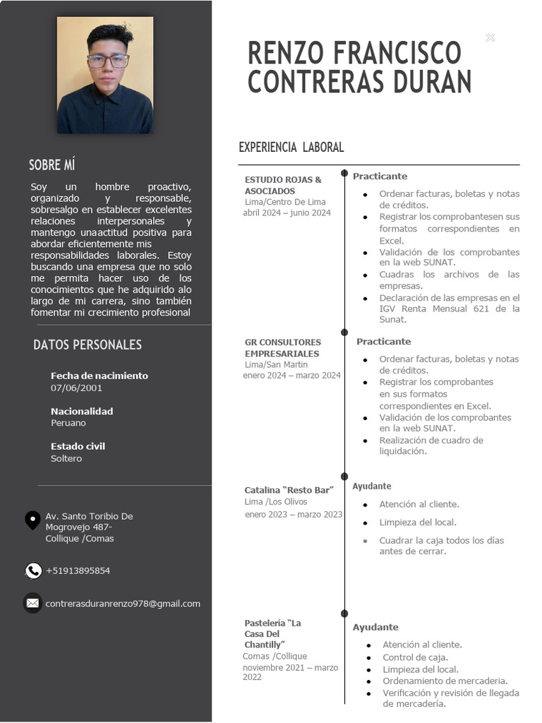 CV Renzo Contreras Duran | PDF