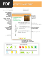 Ficha Técnica Del Pasto Marandú (Brachiaria Brizantha Cv. Marandú ...