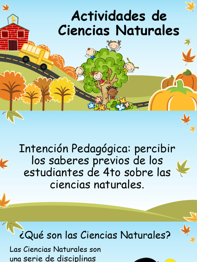 Actividades de Ciencias Naturales 4to | PDF