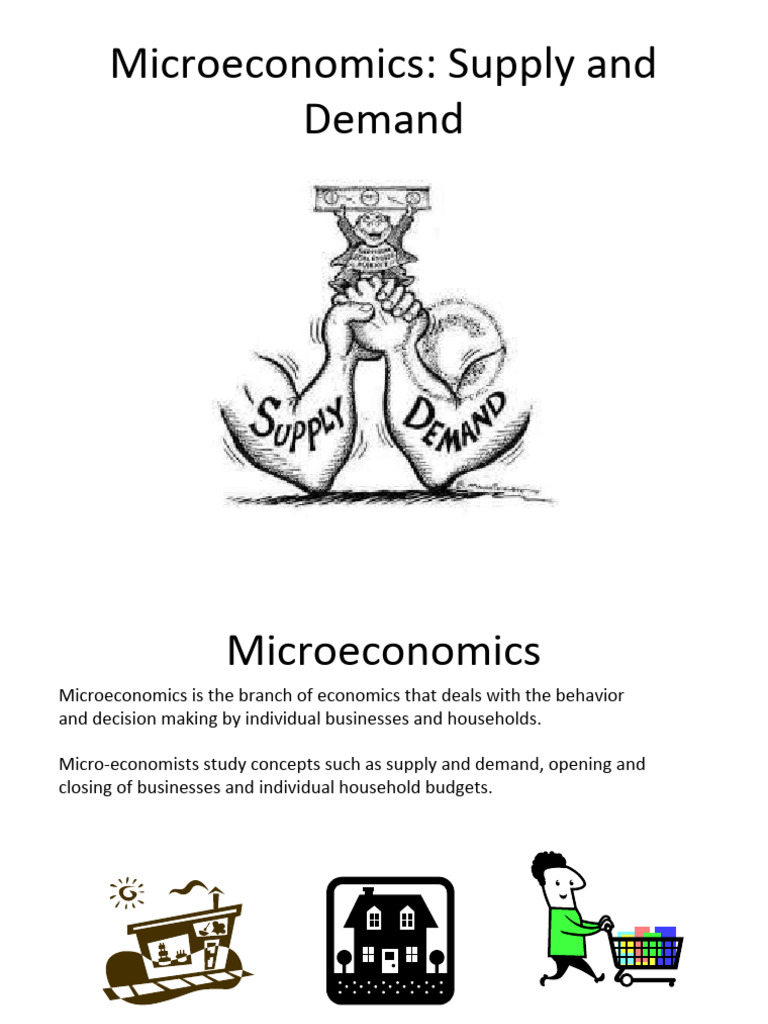Fundamental of Microeconomics | PDF | Demand | Elasticity (Economics)