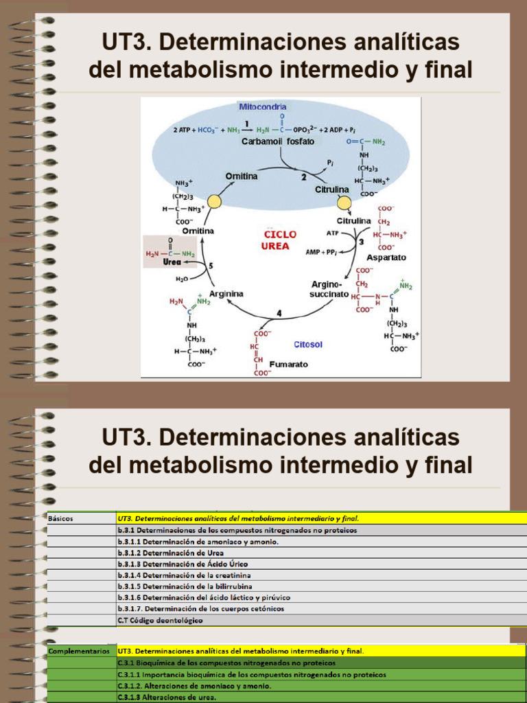 UT3 Determinaciones analíticas m. intermedio y final | PDF