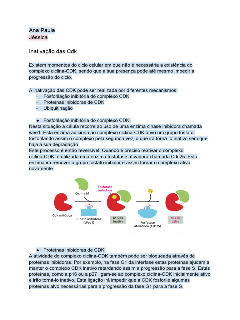 2 Caso - Checkpoints G1 - S e G2 - M | PDF | DNA | Ciclo de célula