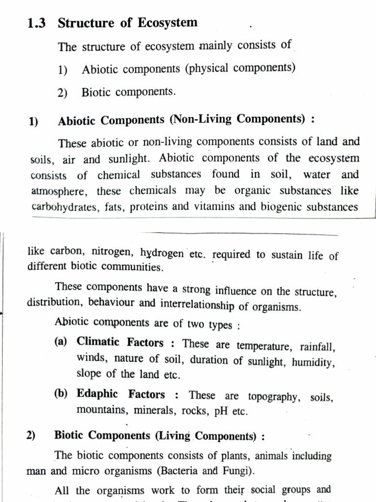 EVS - Structure of Ecosystem | PDF | Ecosystem | Natural Sciences