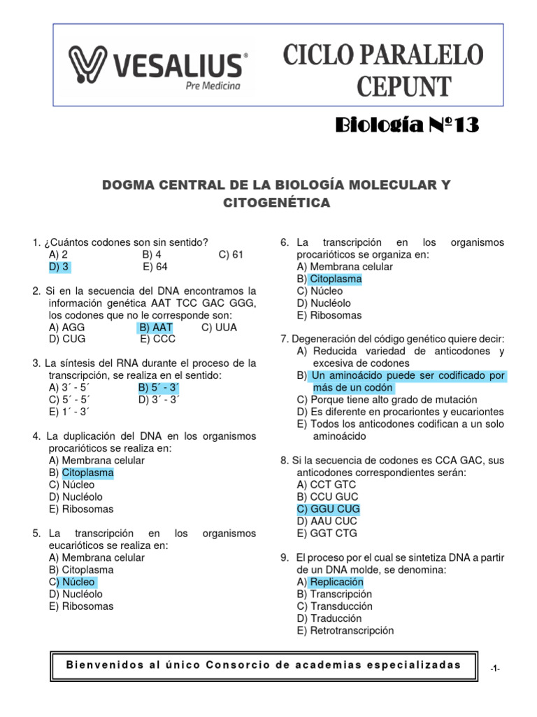 Bio. (13) Dogma y Citogenica 2-02-24-1 | PDF | Adn | Rna