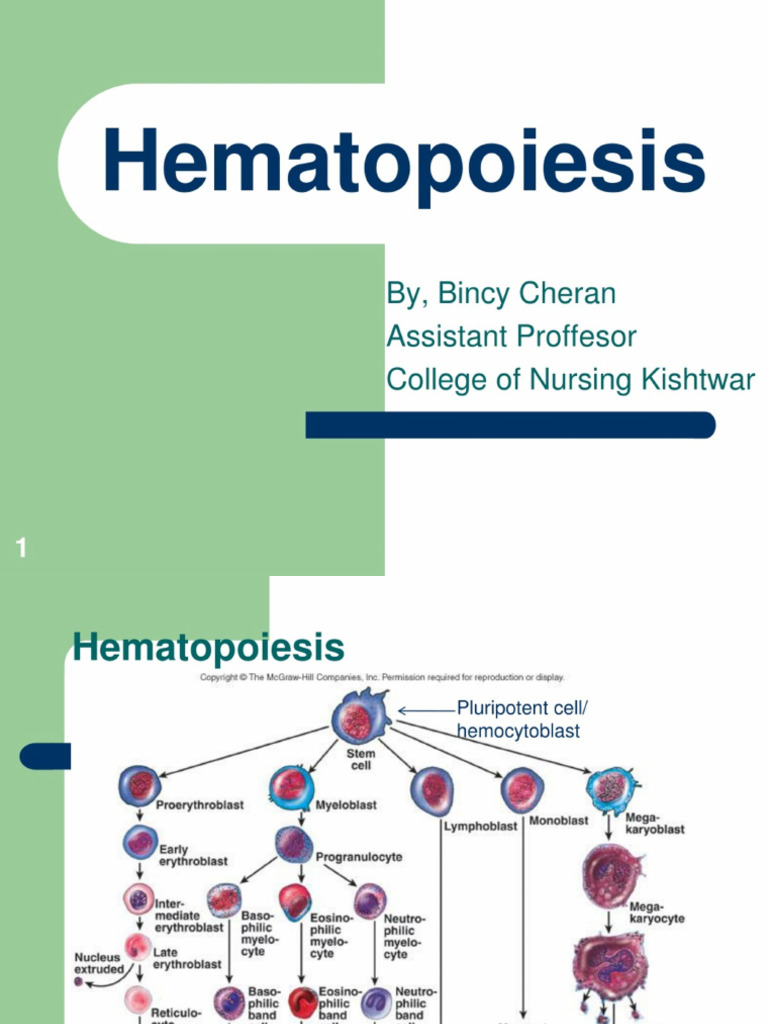 Hematology Rbcs | PDF